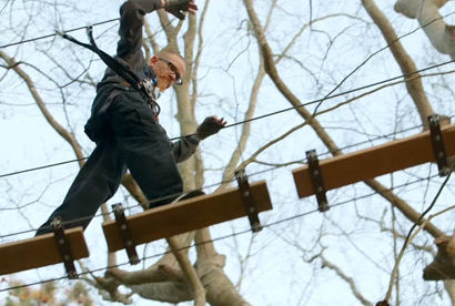 Home - TreeRush Adventures : TreeRush Adventures