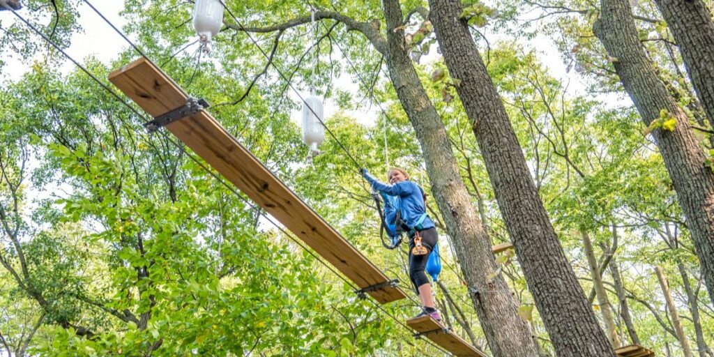 Home - TreeRush Adventures : TreeRush Adventures