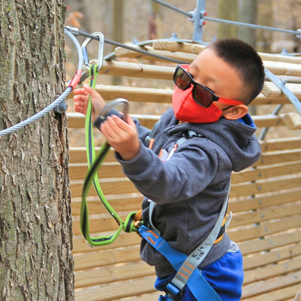 Top Five Reasons to Feel the Rush at TreeRush - TreeRush Adventures ...