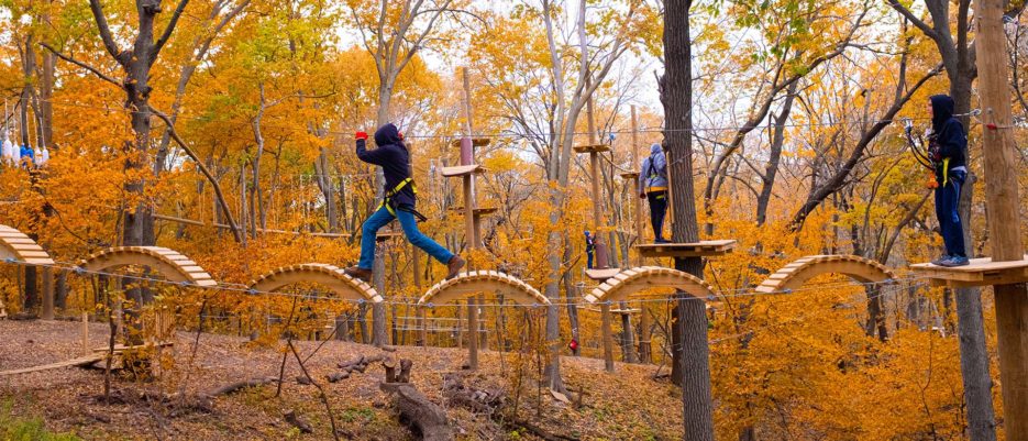 Home - TreeRush Adventures : TreeRush Adventures