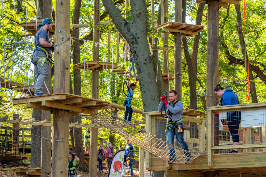 Home - TreeRush Adventures : TreeRush Adventures