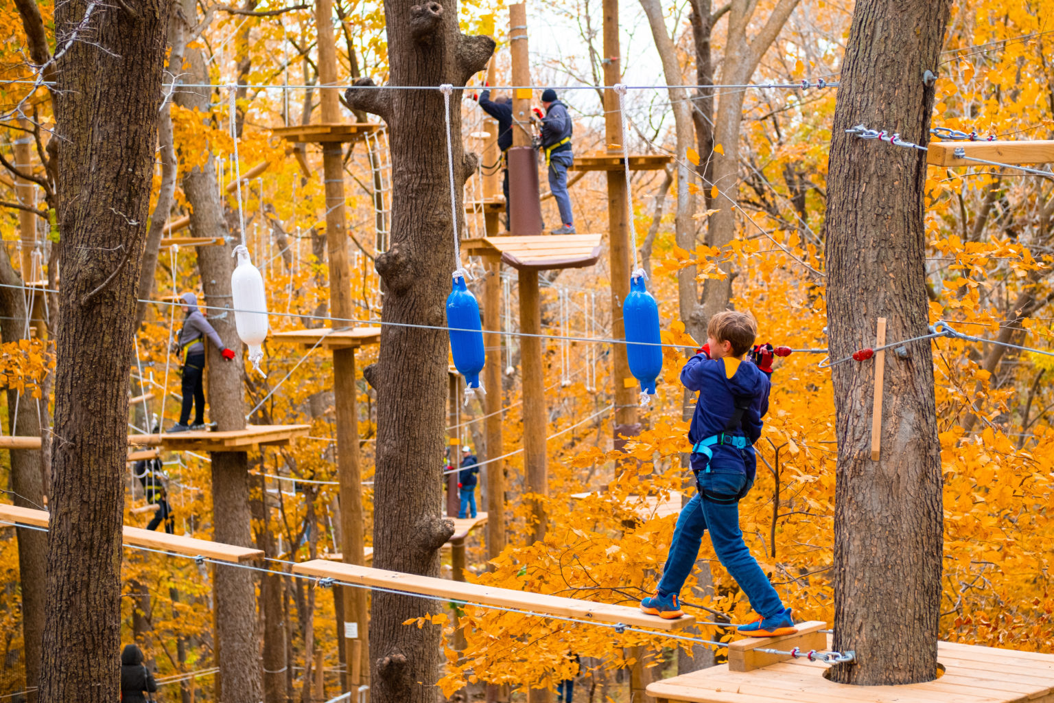 Home - TreeRush Adventures : TreeRush Adventures